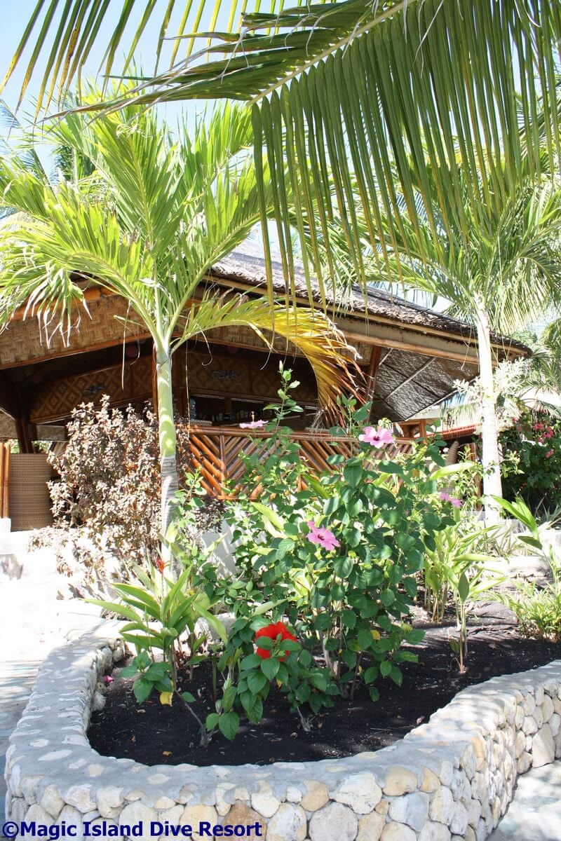 Magic Island Dive Resort | Diving World Duikvakanties