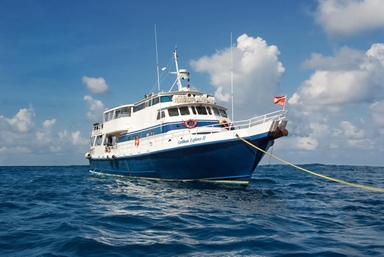 Caribbean Explorer II | Diving World Liveaboards